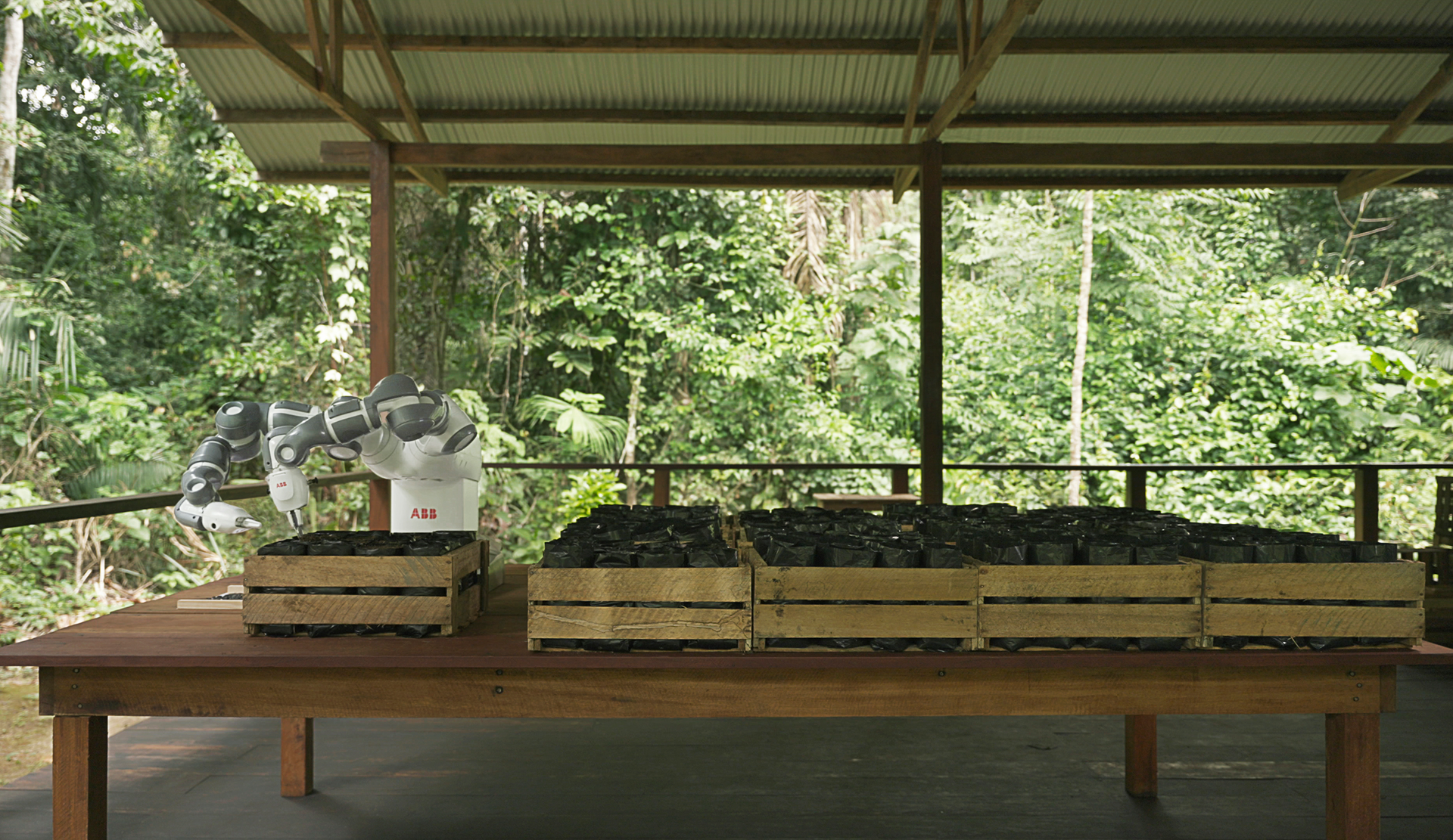 How can robotics and cloud technology reverse deforestation? | Control ...